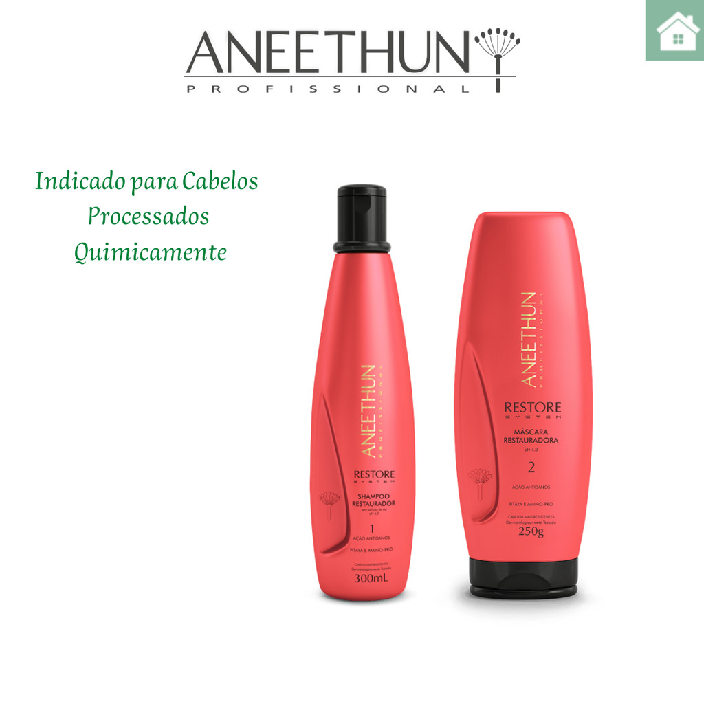 KIT ANEETHUN RESTORE SYSTEM SHAMPOO 300ML E MASCARA 250G | Shopee Brasil