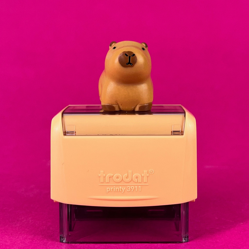 Carimbo Capi Capivara - Coleção Capivaras | Shopee Brasil