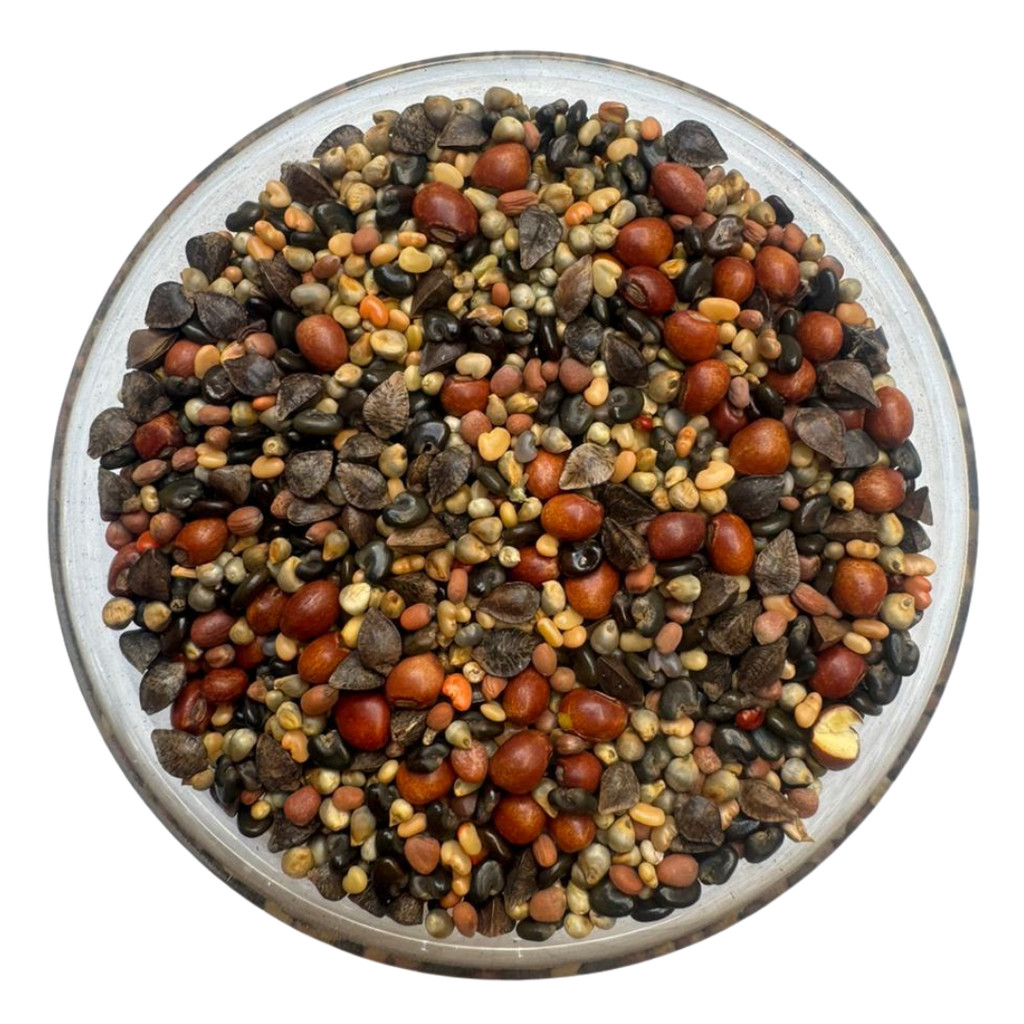 SEMENTES DE MIX CAFÉ FERTILIDADE - Com 5 Kg | Shopee Brasil
