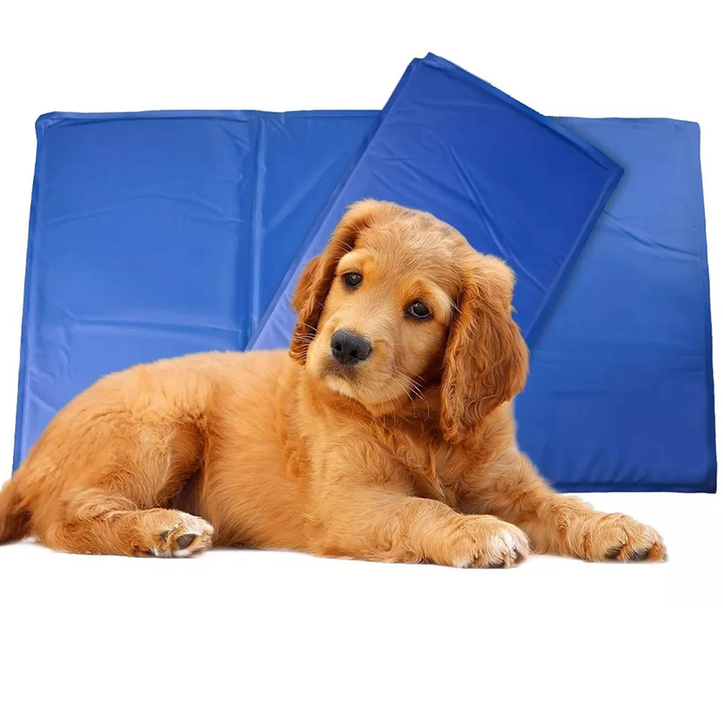 Tapete Gelado Cachorro Gato Cao Pet Verao Colchonete Refrescante Macio Confortavel Animais ...