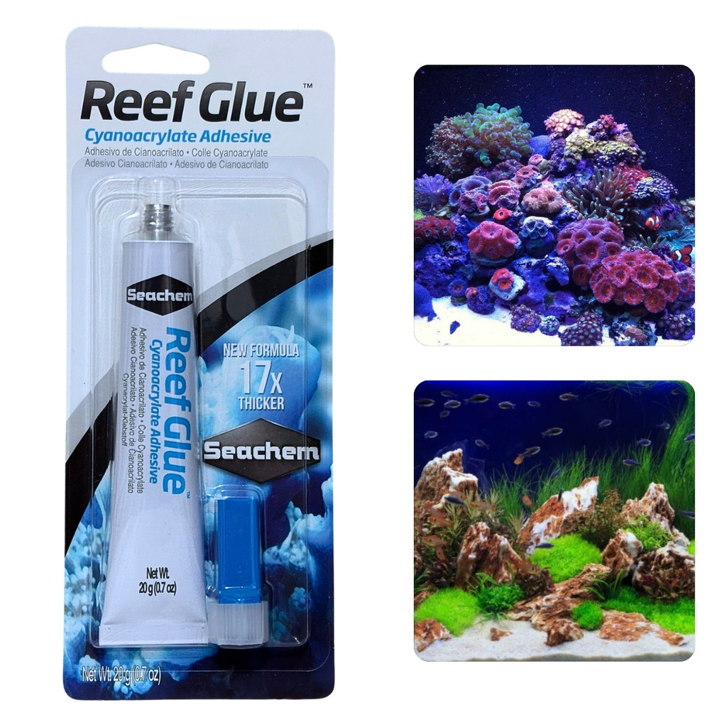 Super Cola De Corais Para Aquario Seachem Reef Glue 20g | Shopee Brasil
