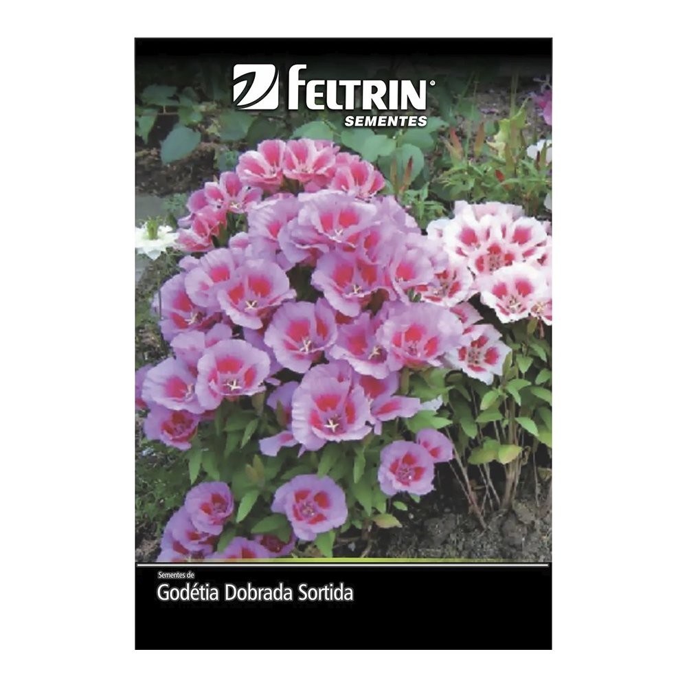 Sementes de Flor Godétia Dobrada Sortida Feltrin 230mg - Embalagem com ...