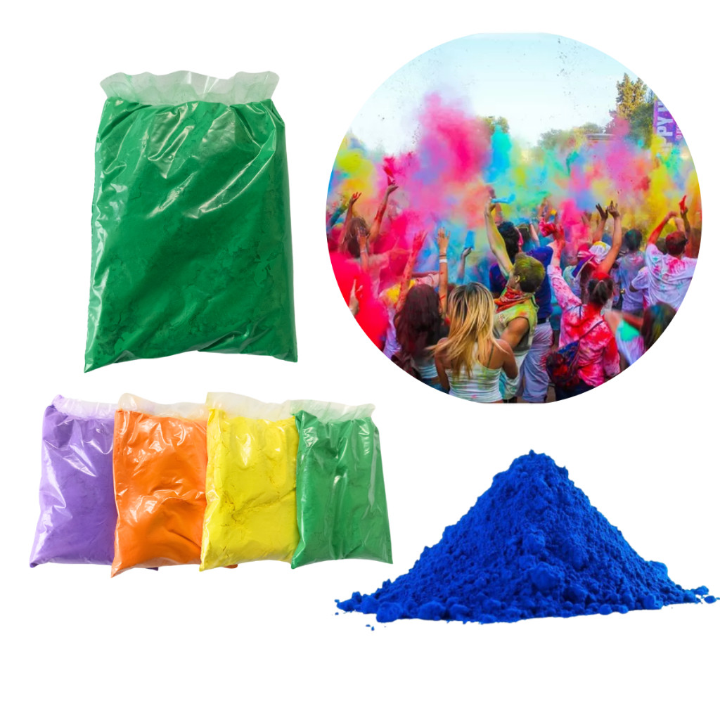 KIT Pó Colorido Tinta Em Pó Festa Holi Festa Cores 100g Cada | Shopee ...