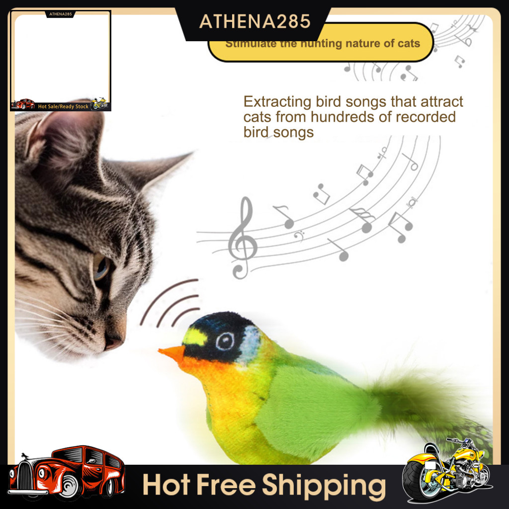 Soft Plush Cat Toy Bird Song Interactive with Feathers and Sound Fun ...