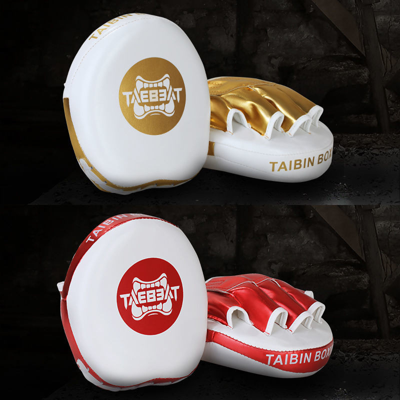 Alvo De Velocidade De Boxe Um Par Sanda Muay Thai Treinamento ...