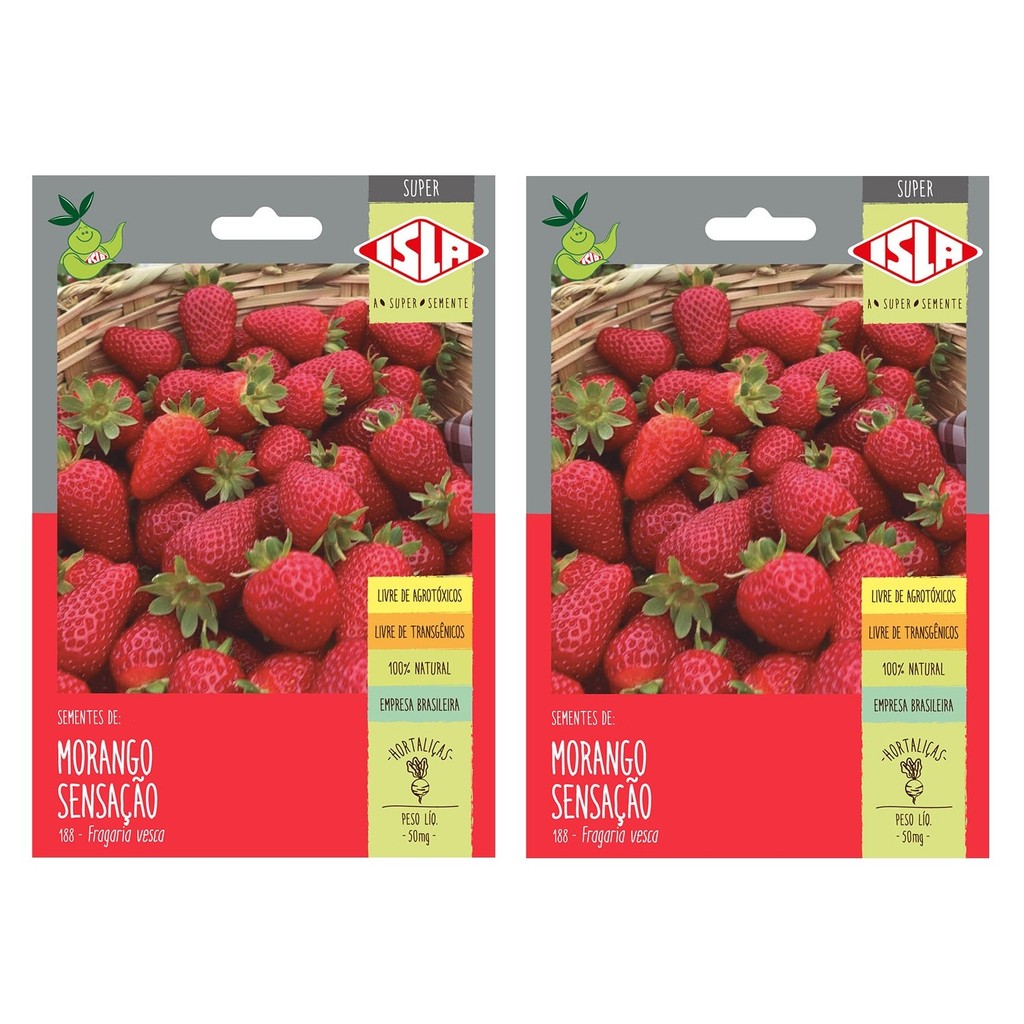 Kit Semente Isla Morango Sensação com 2 Envelopes | Shopee Brasil