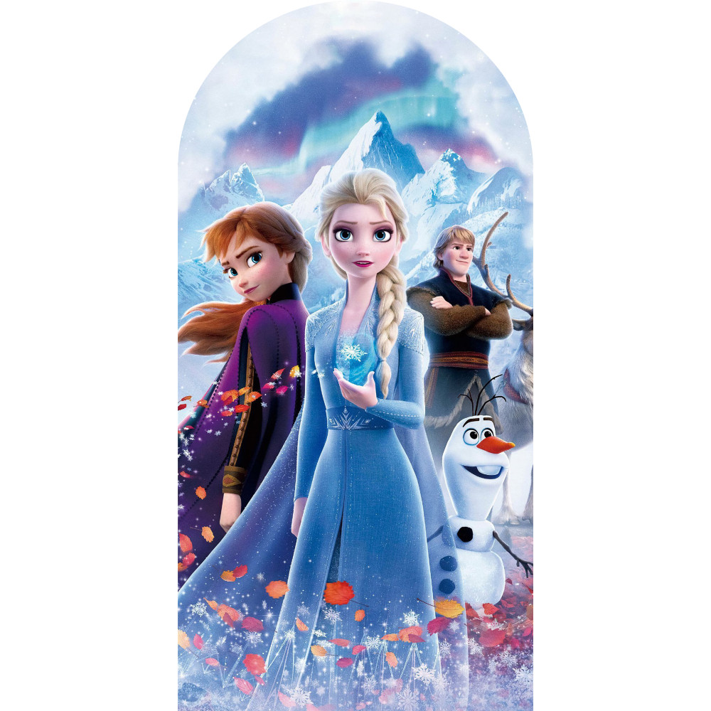 PAINEL DE FESTA FROZEN ROMANO 2,00M DE ALT X 1,00M DE LARG - ELSA, ANA ...