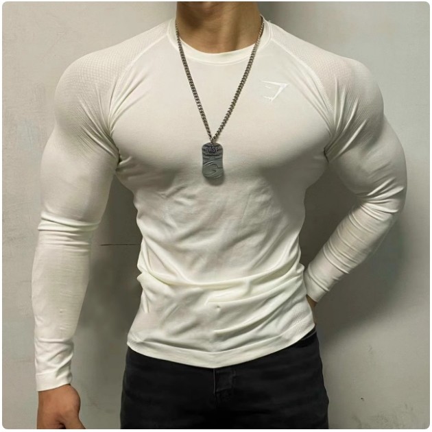 Super Niu GYMSHARK Fitness Manga Longa Masculina Solta De Secagem ...
