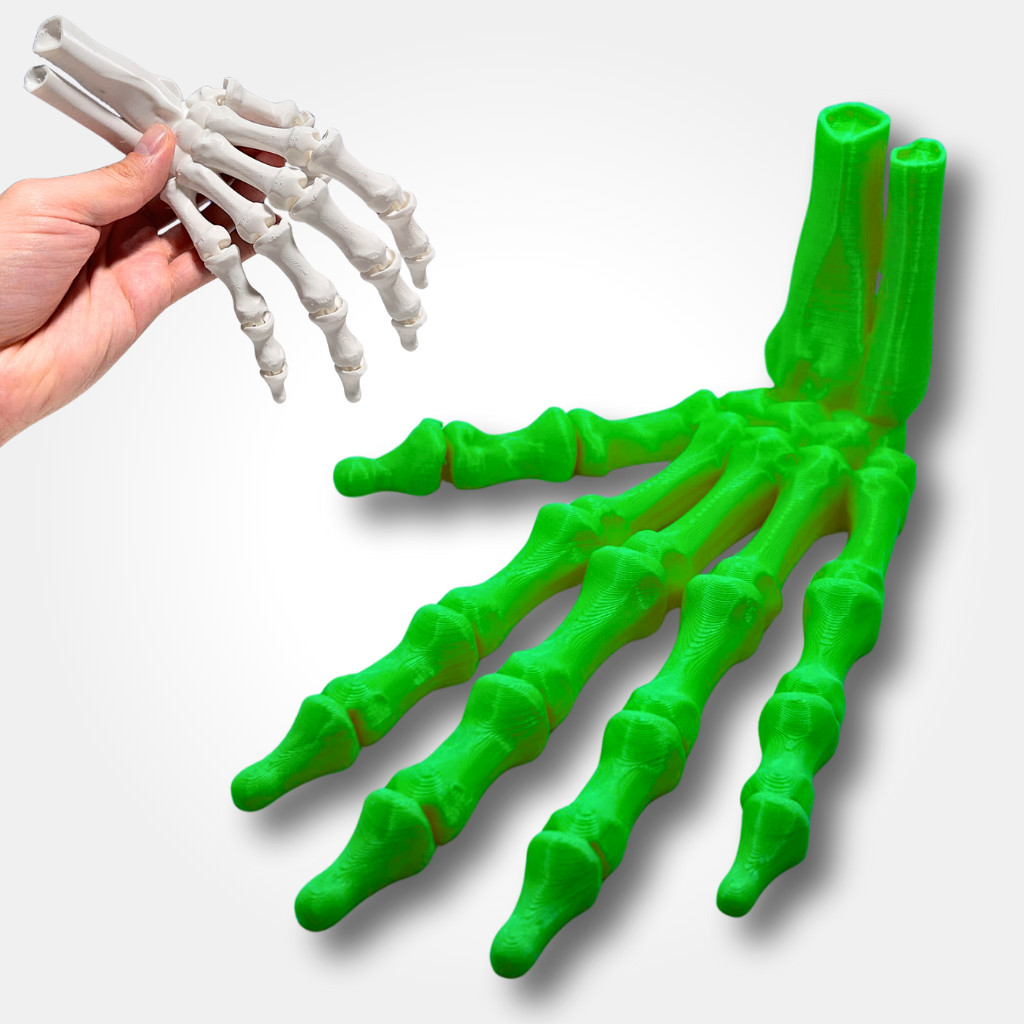 Mão Esqueleto Articulada – Modelo Anatômico Realista para Estudo ou ...