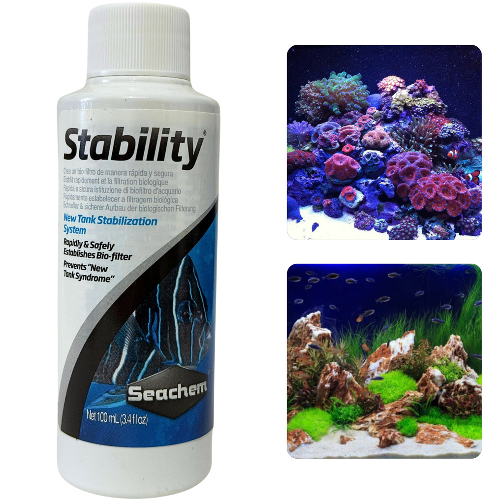 Seachem Stability 100ml Acelerador Biológico Aquário Bactéria Saudável ...
