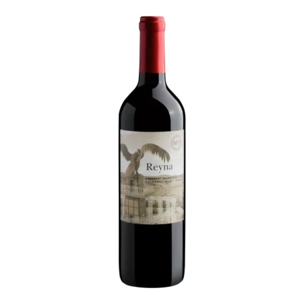 Vinho Tinto Reyna Cabernet Sauvignon 2022 750ml | Shopee Brasil