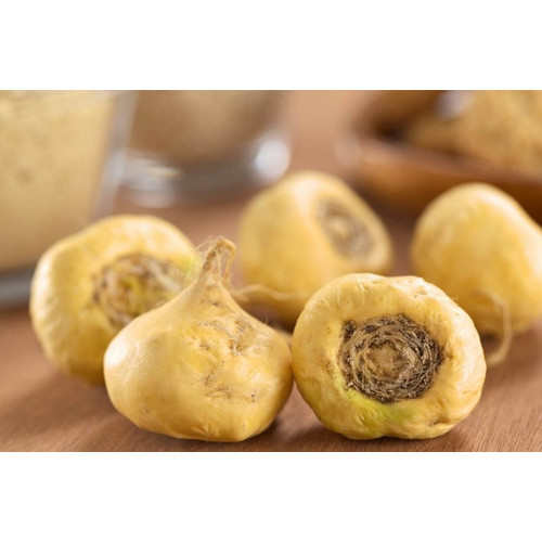 30 Sementes Maca Peruana Amarela Lepidium Meyenii P/ Mudas | Shopee Brasil