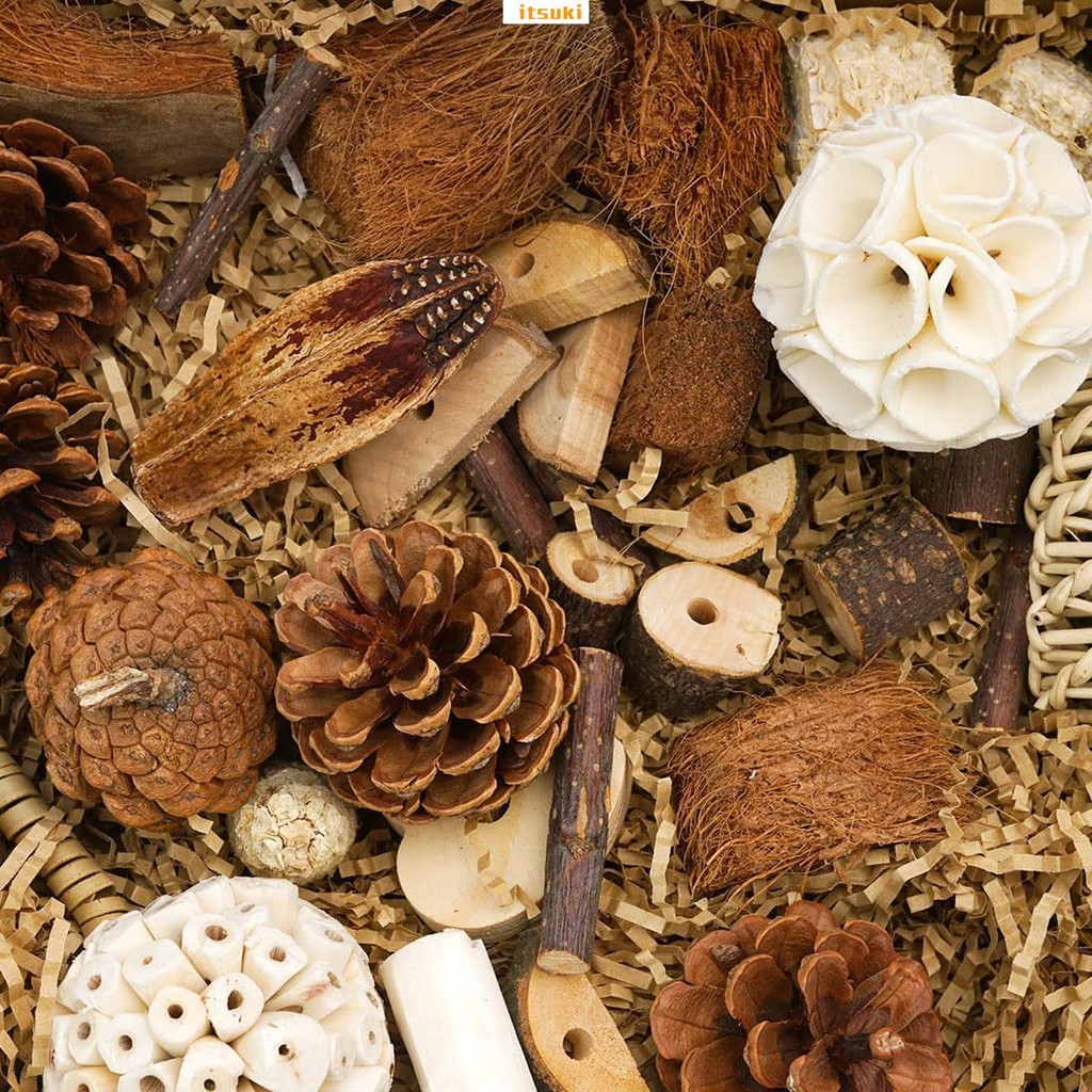 Brinquedos Naturais Para Forrageamento De Pássaros , Conjunto De Macios ...