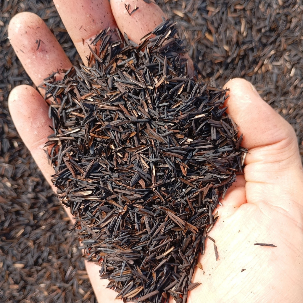 Casca de Arroz Carbonizada Premium Plantas Lindas e Fortes | Shopee Brasil