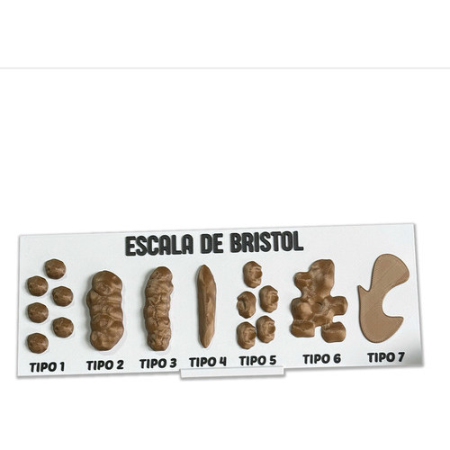 Escala De Bristol, Tabela Com Com Material Em Pla Resistente | Shopee ...
