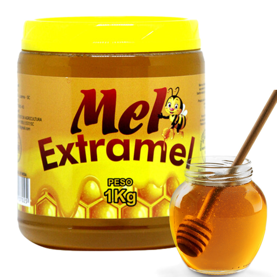 MEL PURO DE ABELHA 100% NATURAL FLORADA SILVESTRE - EXTRAMEL | Shopee ...