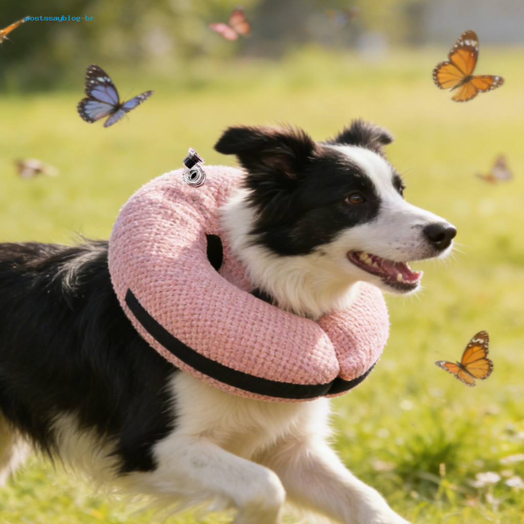 Post Surgery Dog Collar Soft Cone Blow Up Donut for Pets Post-surgery ...