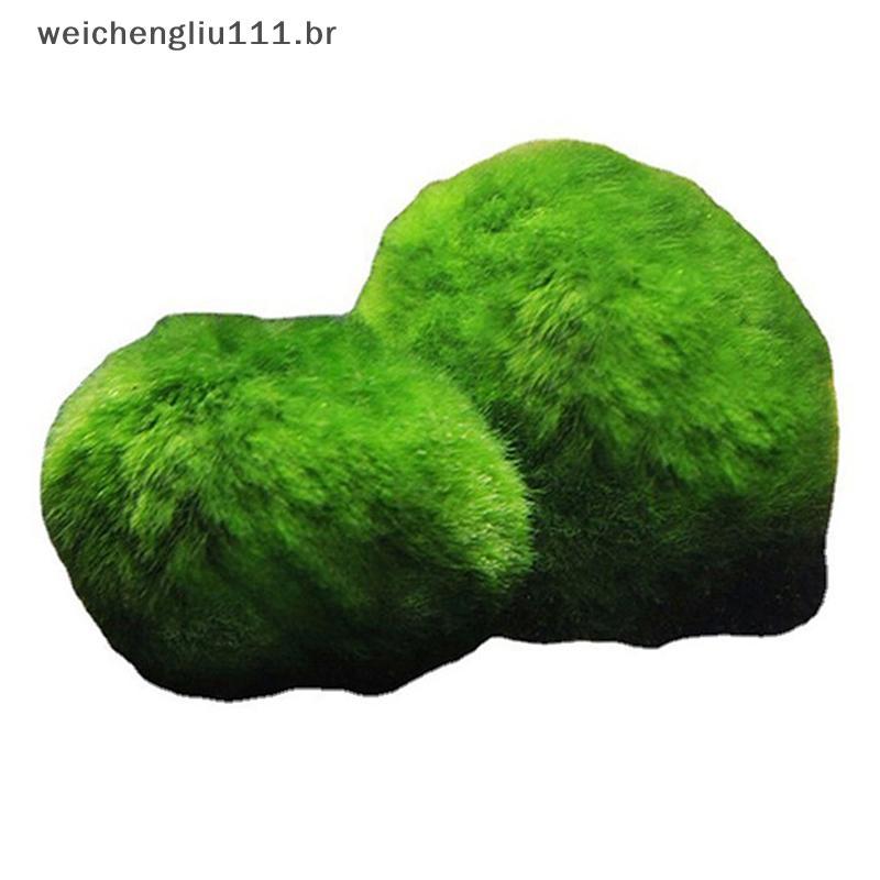 # weicheng 2-3cm Marimo Moss Balls Aquário Vivo Planta Algas Peixe ...