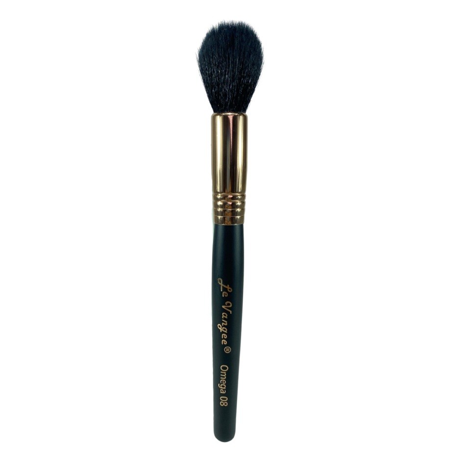 LE VANGEE - OMEGA 08 PINCEL ILUMINADOR | Shopee Brasil