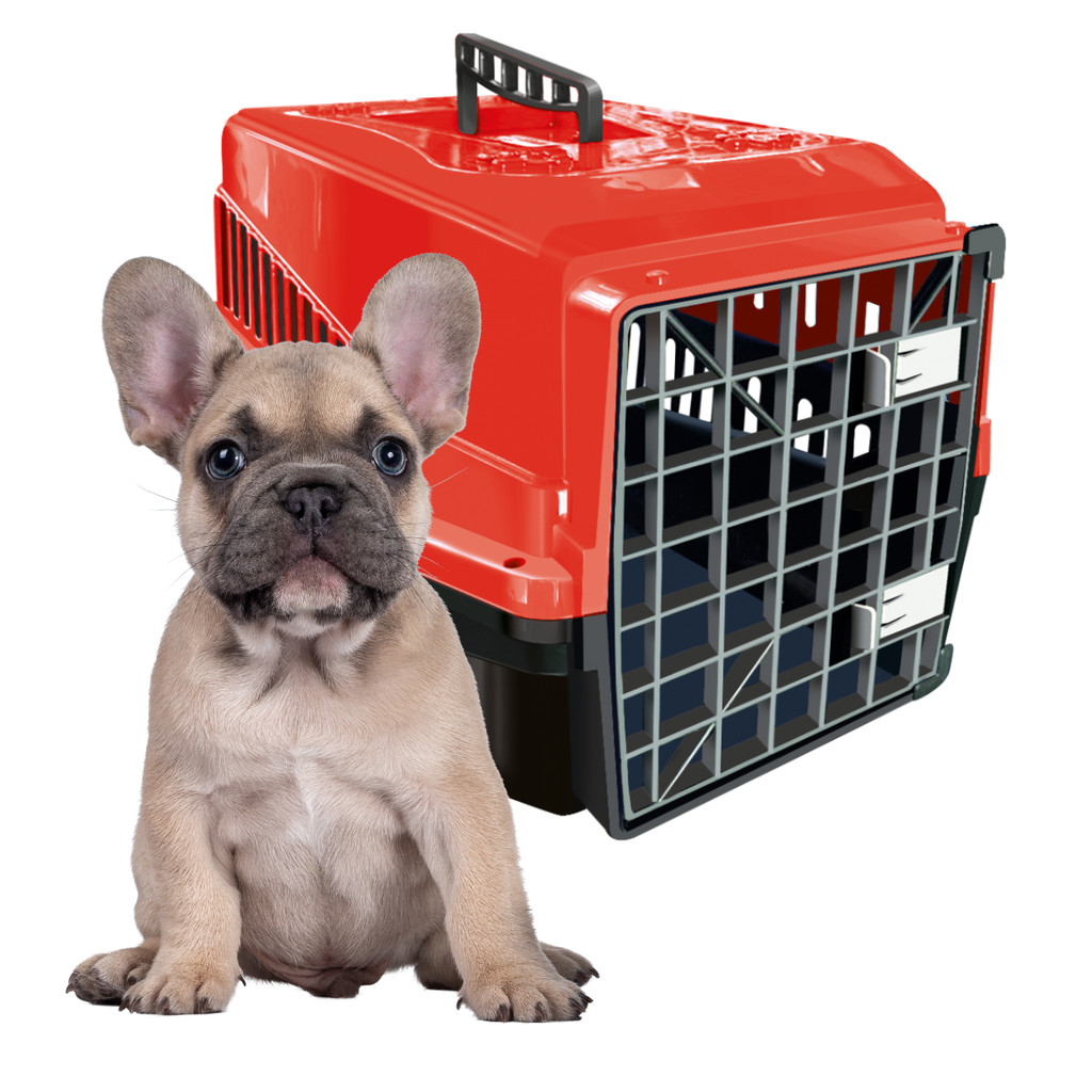 Caixa de Transporte para Cães e Gatos N5 Polipropileno com Duas Travas ...