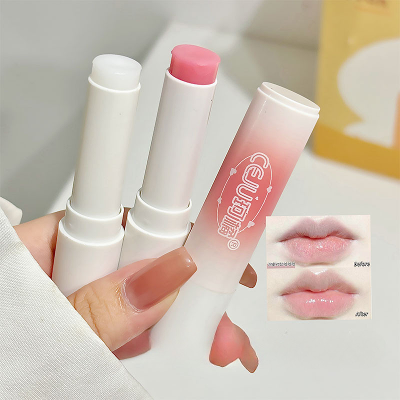 Bioaqua Lip Balm Care , Restaura Os Lábios , Hidrata E Previne ...