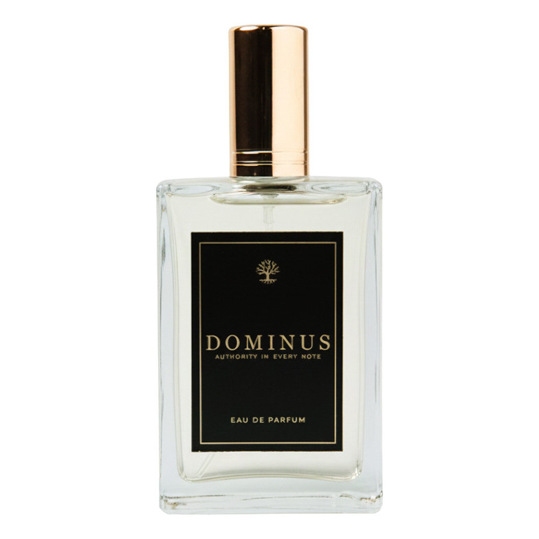 Perfume Masculino Dominus Eau De Parfum Bluhen | Shopee Brasil