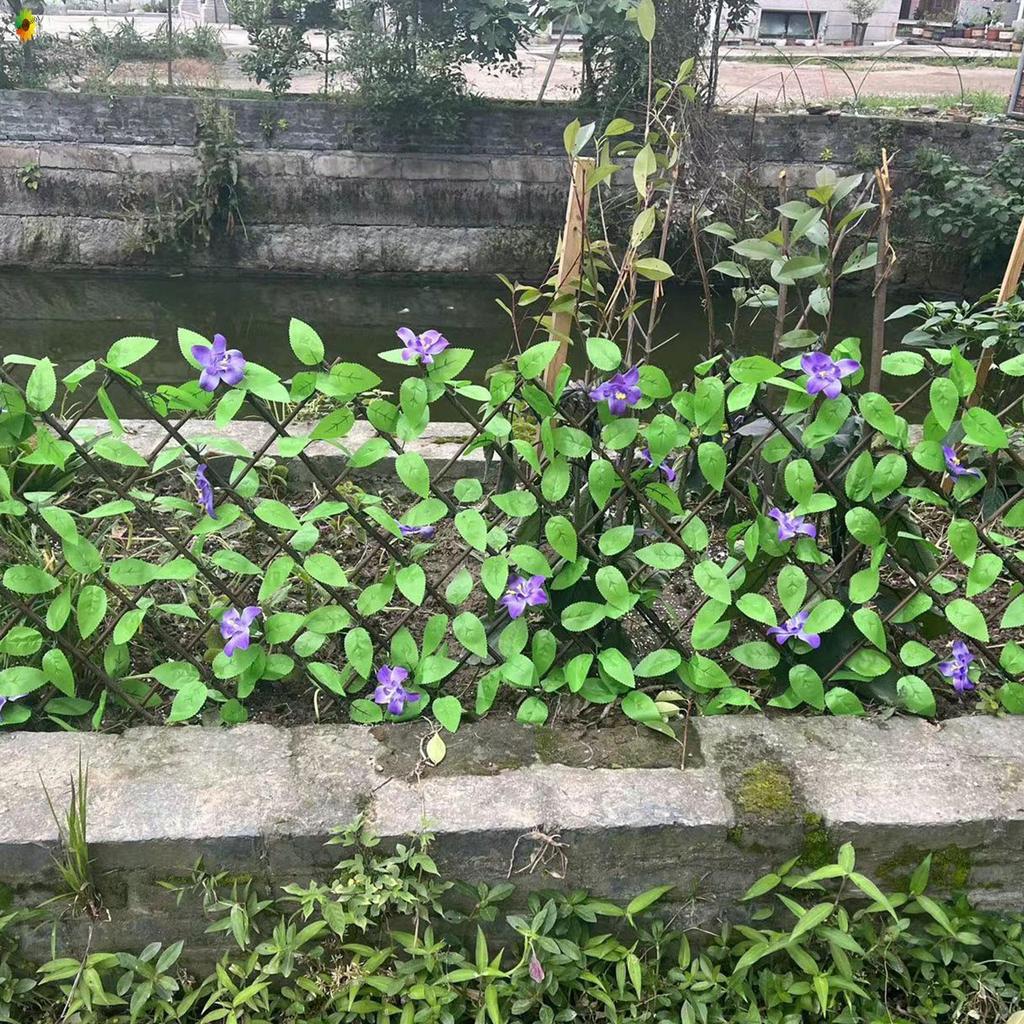 Tela De Privacidade Expansível Para Cerca , Plantas Ecológicas De Fácil ...