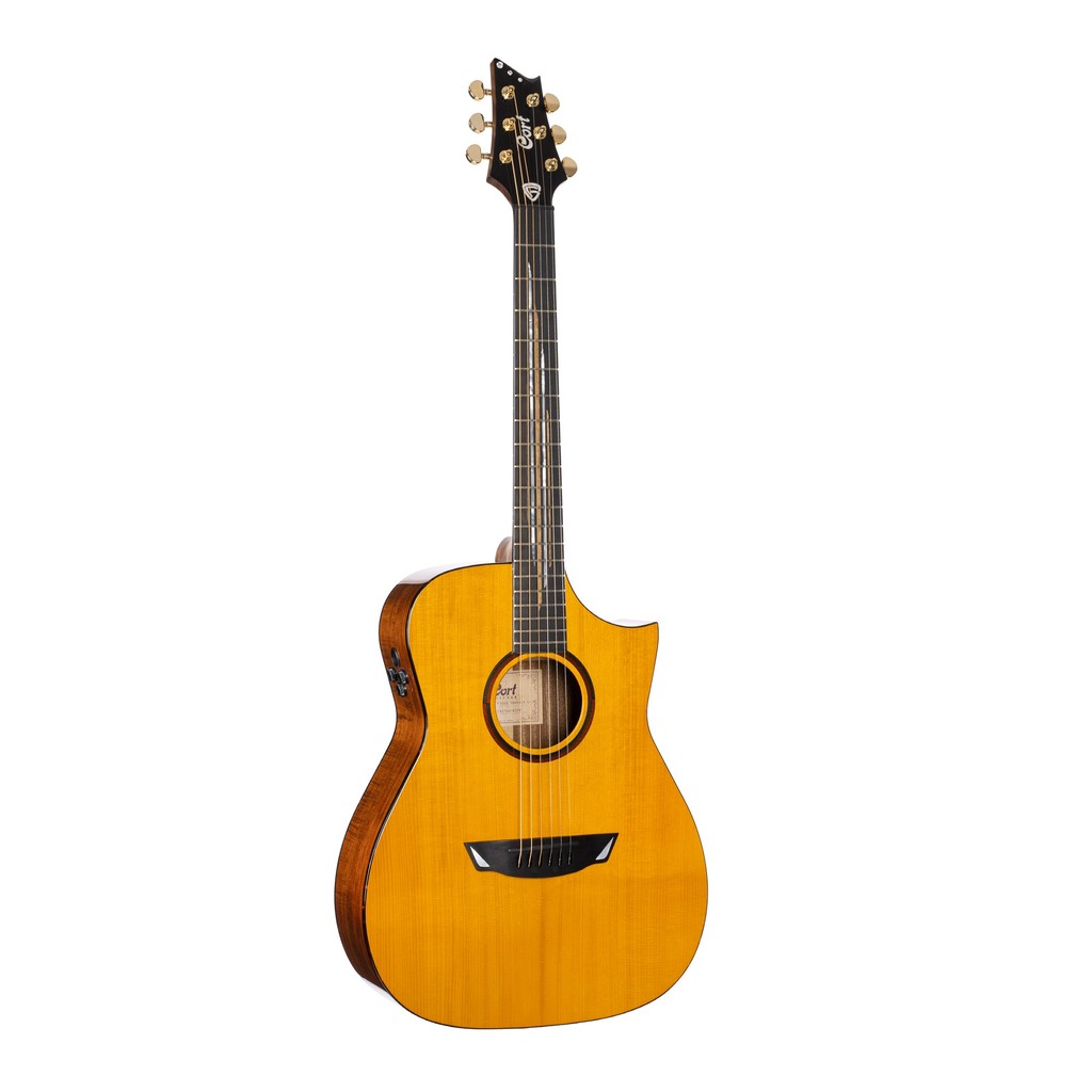 VIOLAO CORT LUXE II FRANK GAMBALE NATURAL FISHMAN COM CASE | Shopee Brasil