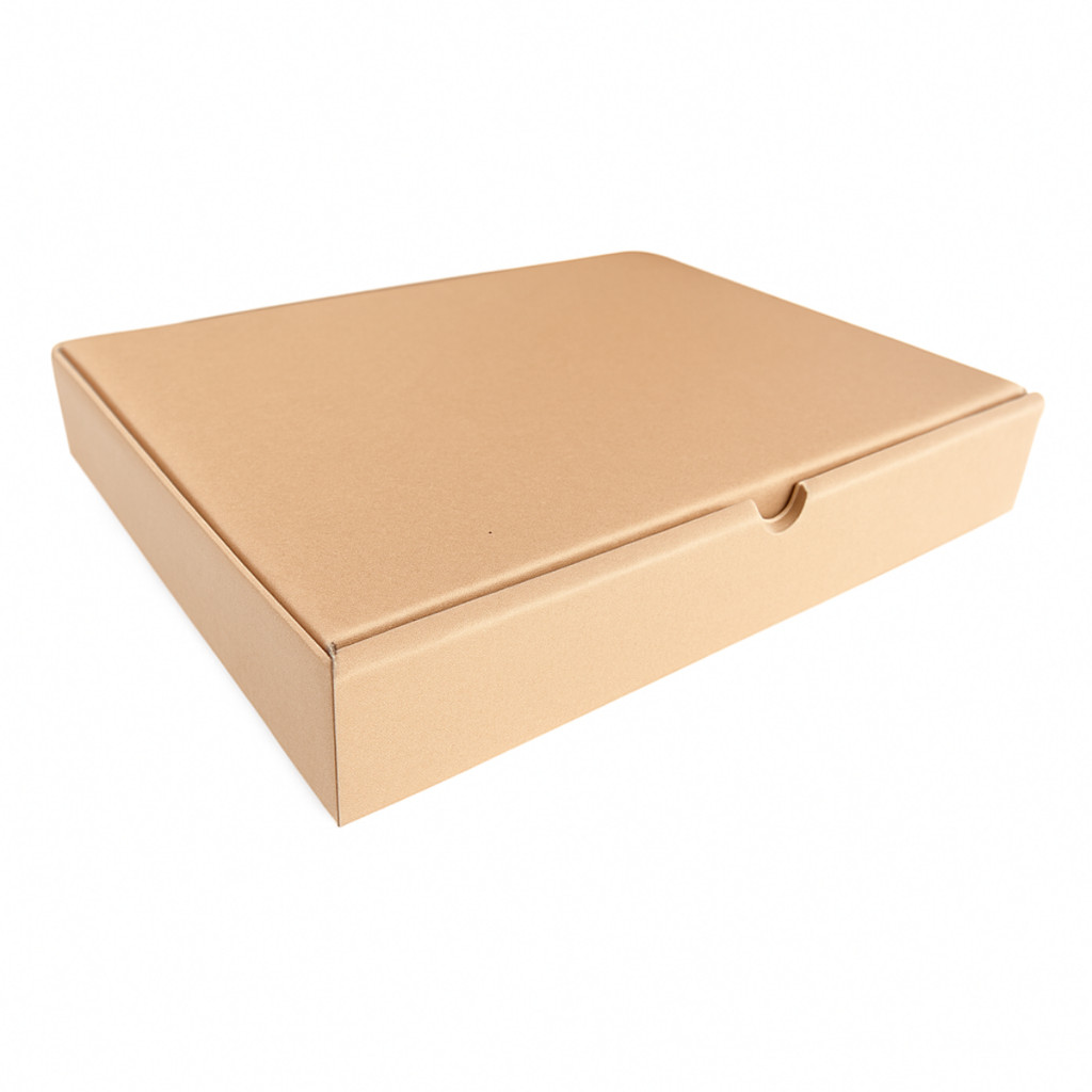 Breeze Nature - Kit 225 Caixas De Papelão Kraft - 24x18x3,5 Cm ...