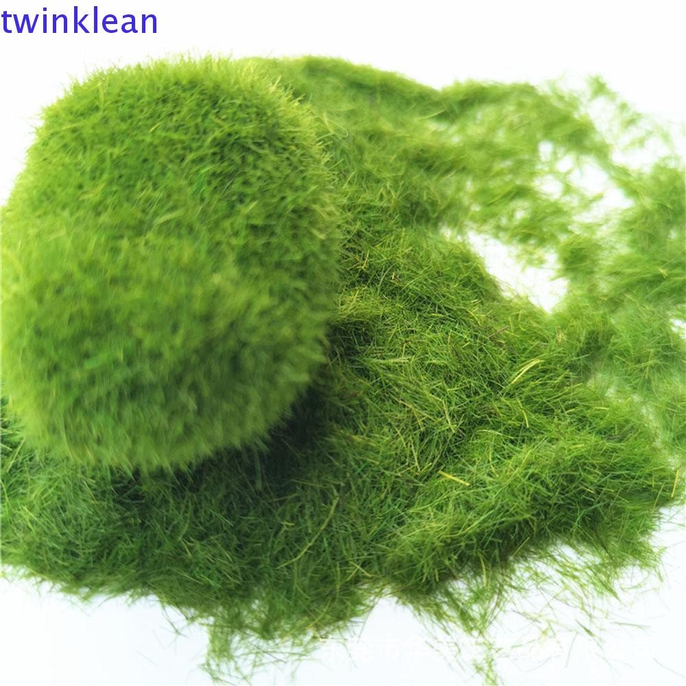 TWINKLEAN Musgo Artificial 35 G/Saco Artesanato Jardim Casa Micro ...