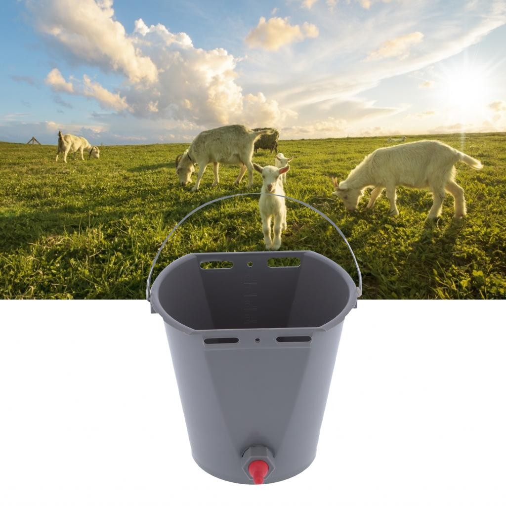 Sheep Milk Feeding Bucket Cow Feeder Clear Scales Calf Feed Pail for ...