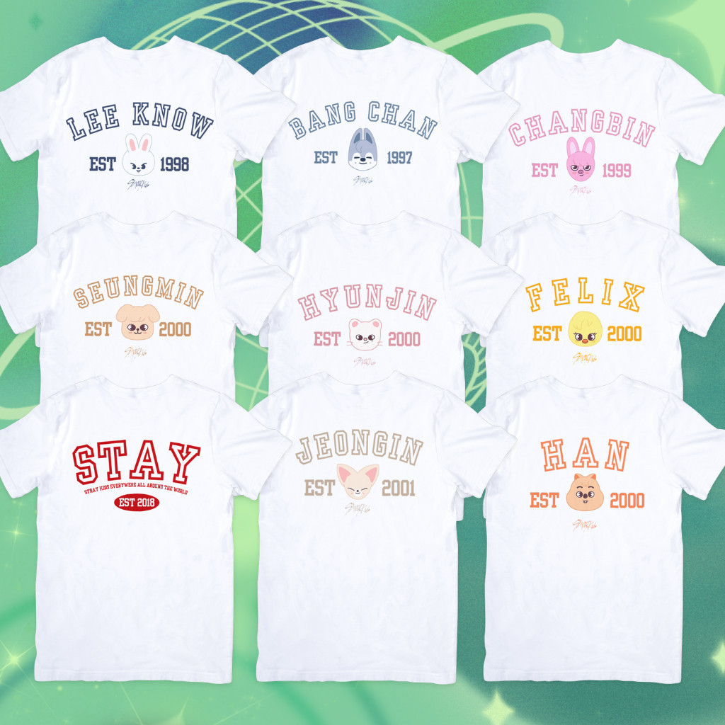 Camiseta Camisa Stray Kids College SKZOO SKZ Lançamento Linda 100% do P ...