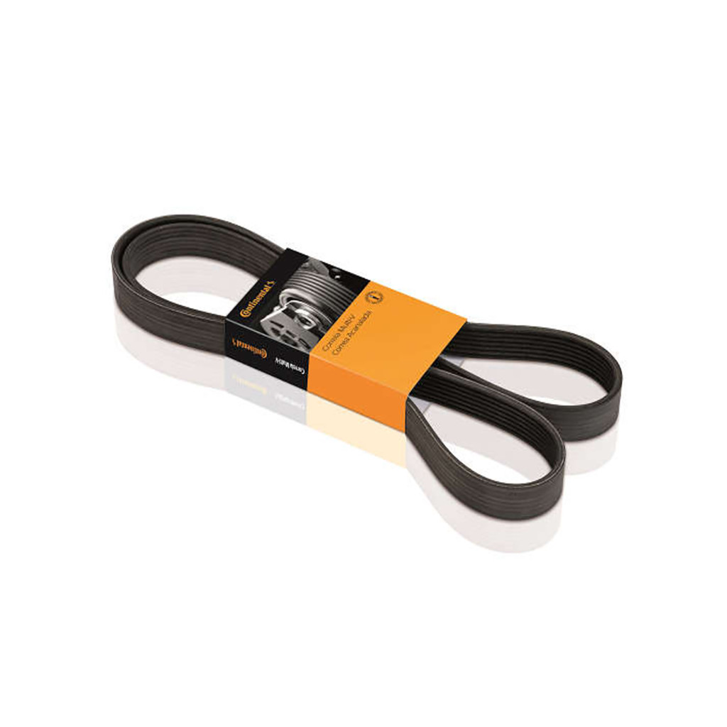 Correia Poly V Xsara Break 1.6 | Shopee Brasil