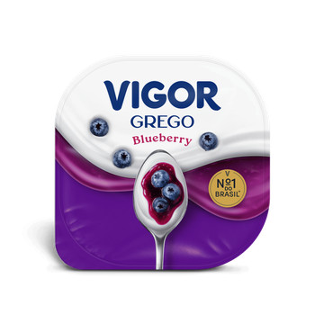 Vigor Grego Blueberry Iogurte | Shopee Brasil