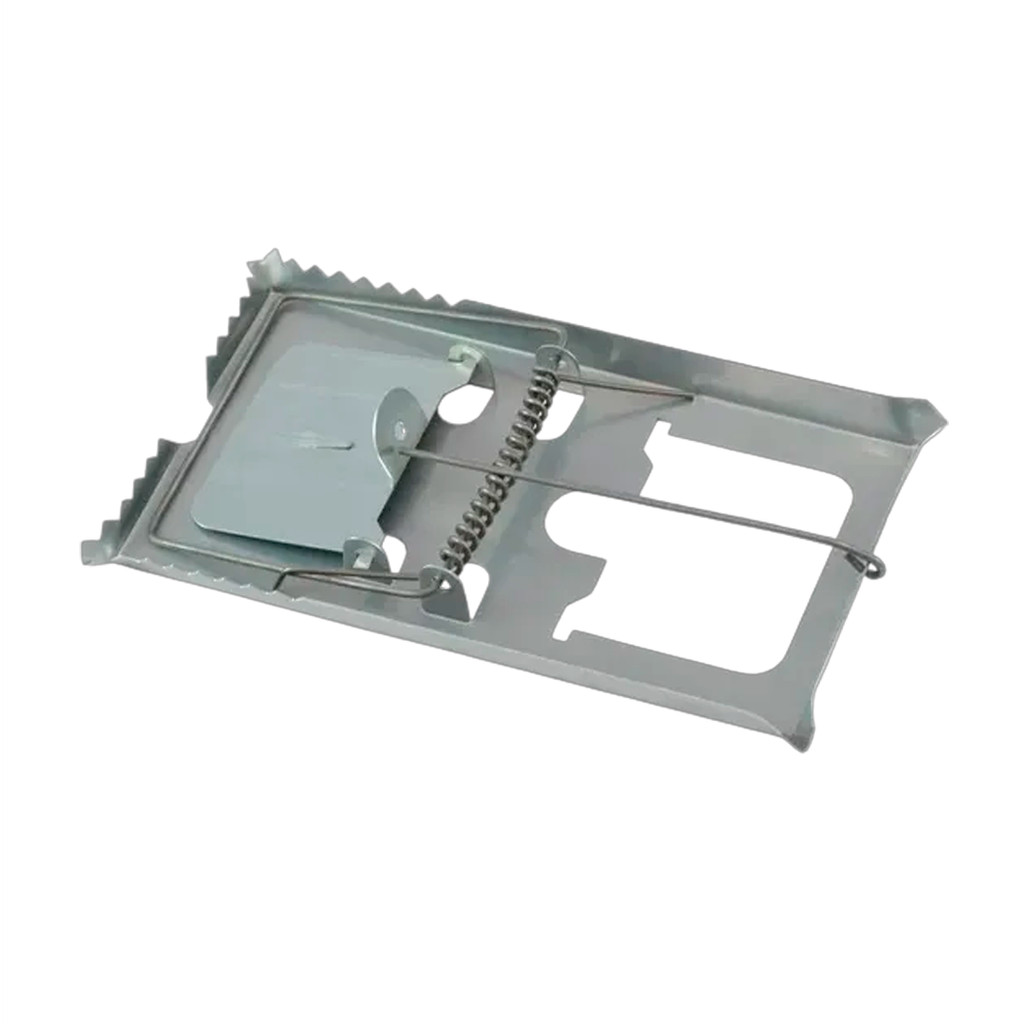 Ratoeira Grande Reforçada para Ratos e Camundongos | Shopee Brasil
