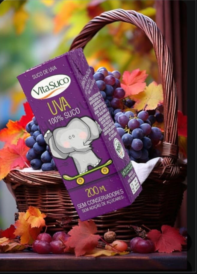Suco 100% Uva 200ml - Vita Suco | Shopee Brasil