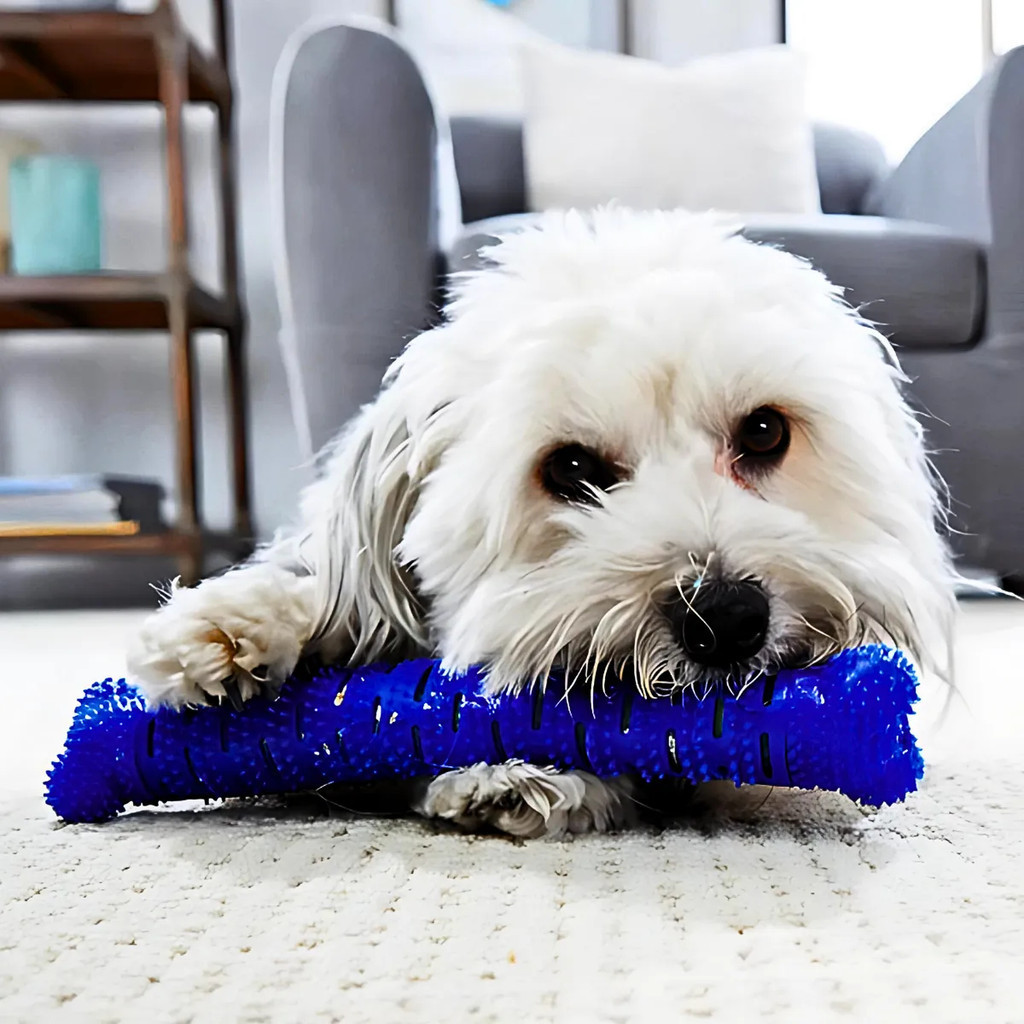 Mordedor Osso Removedor De Tártaros De Dentes Pets Chewbrush | Shopee ...