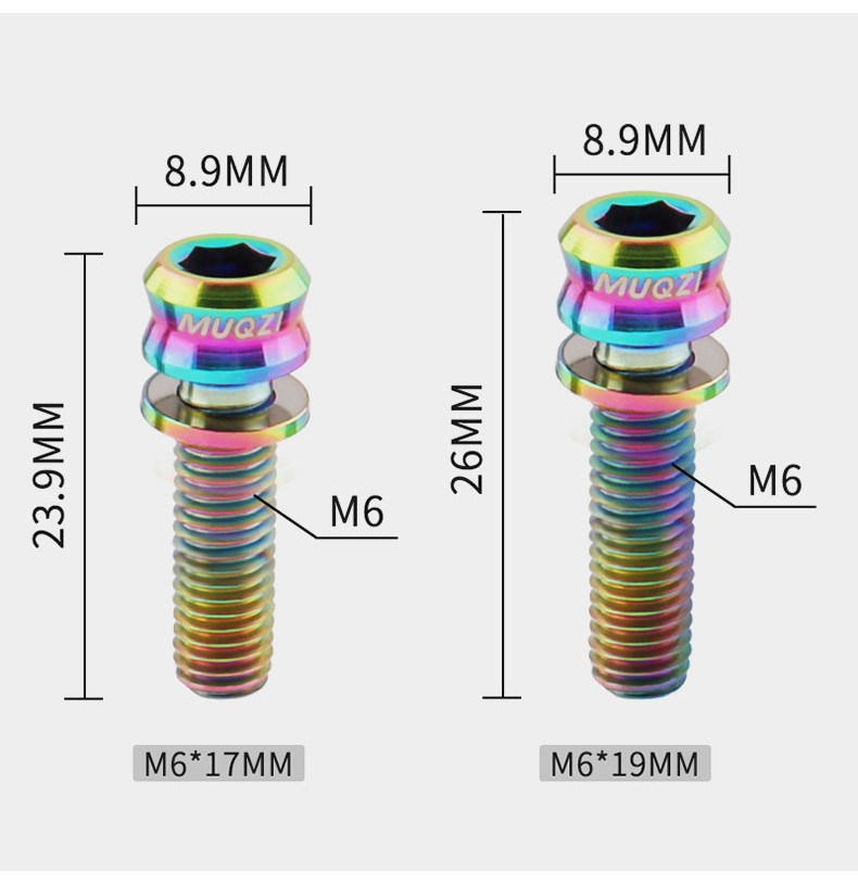 MUQZI 2/4/6PCS Titânio M6x17 M6x19 Parafusos De Freio A Disco Com ...
