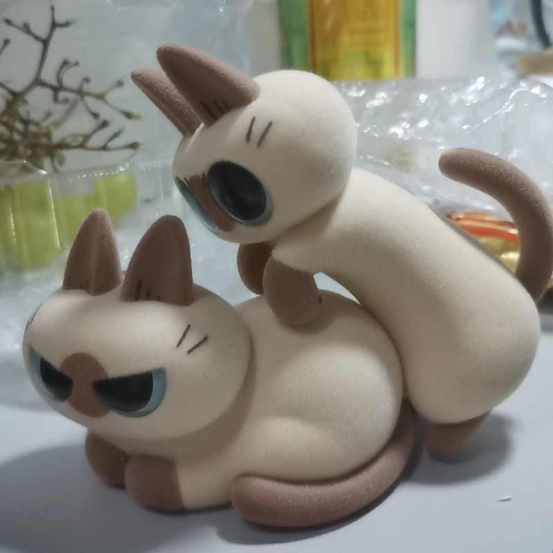 Azuki Can Azukisan's Daily Life 2a Série Cat Blind Box Anime Ação ...