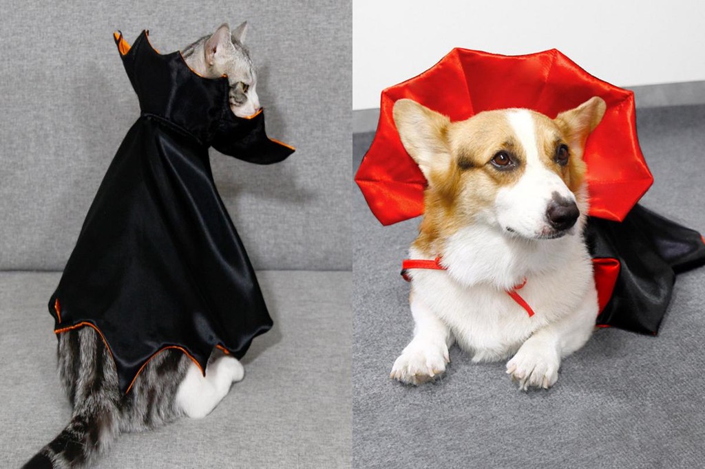 Breathable Pet Cloak Cosplay Spooky Halloween Costume Bat Wings Cape ...