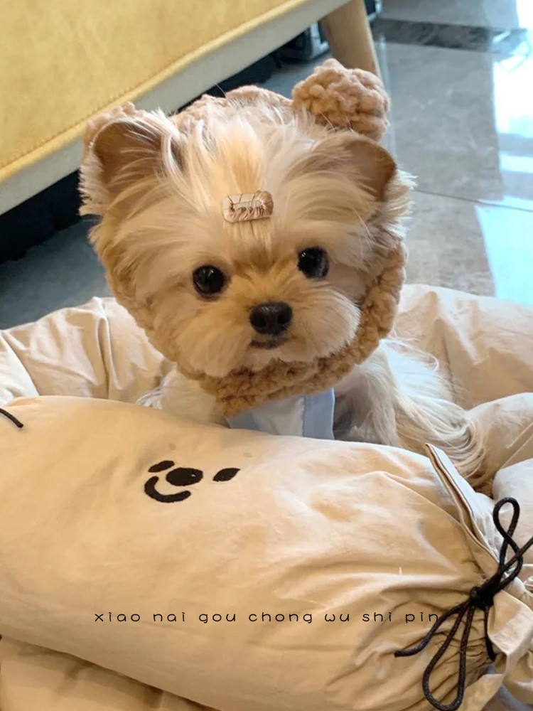 Grampo De Pêlo Para Cachorro Pequeno Animal De Estimação BB Clip Ponte ...