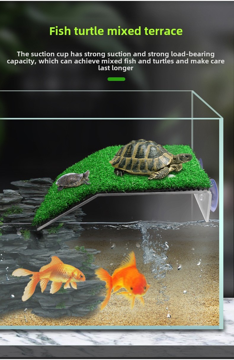 Tartaruga Basking Plataforma Simulação Grama Rampa , Descansando Doca ...