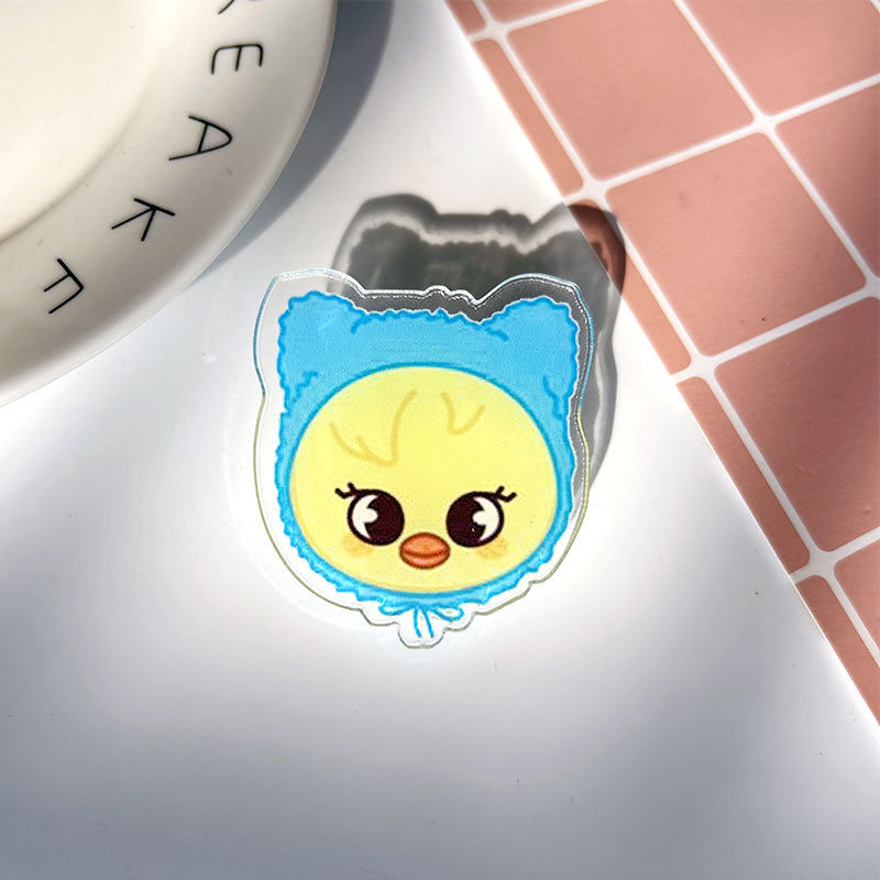 Kpop Idol Stray Kids Clipe Acrílico SKZ Pins STAY Gift | Shopee Brasil