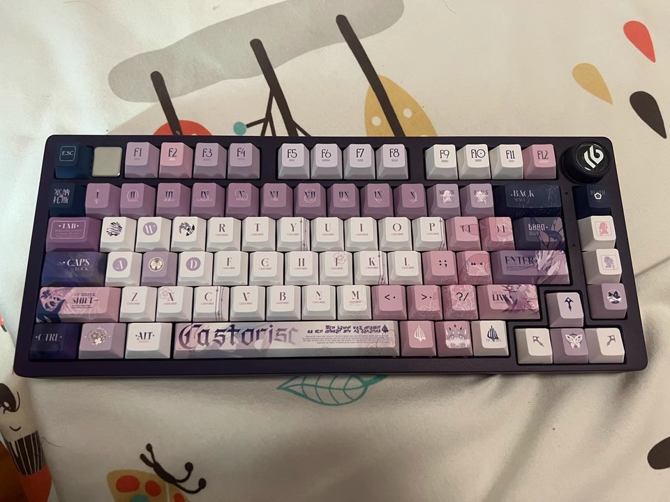 Castorice Keycaps 120 Teclas MOA/Cherry Profile PBT Wooting Aula F75 ...