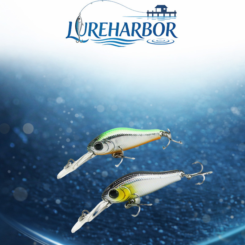 LUREHARBOR Isca Falsa Micro Objeto Placa de Língua Longa Minnow ...