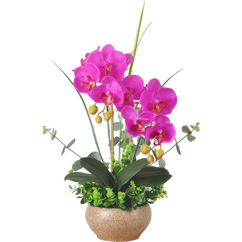 Armário de TV simulação flor decoração Interior flor Phalaenopsis flor ...