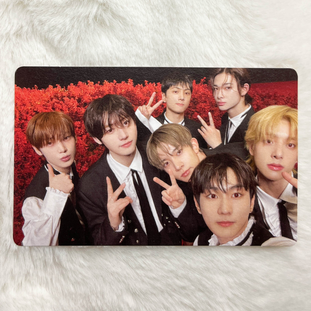 Grupo Oficial QR Photocard Enhypen 4 Álbum Dark Blood Weverse Albums ...