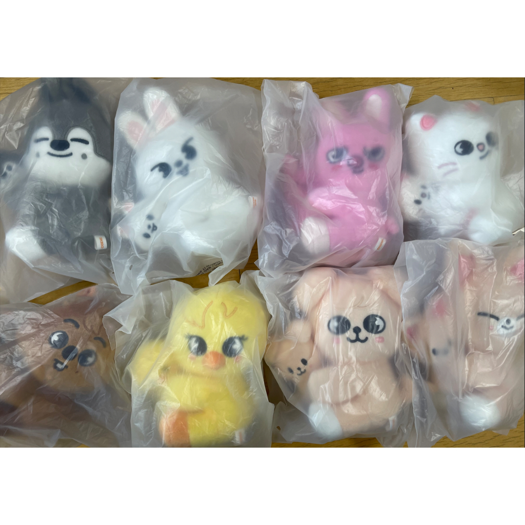 [Na Mão] Dominado Da Turnê Mundial Stray Kids : Comemorar POP-UP MERCH ...