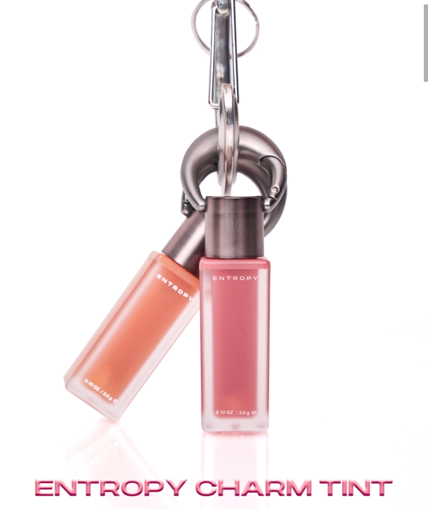 ENTROPY Charm Tint Desfoque 3g 5 Cores | Shopee Brasil