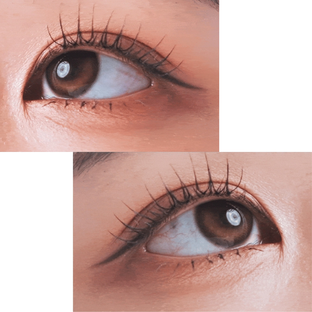 Clione Lash Perm Kit Home&Professional Use | Shopee Brasil